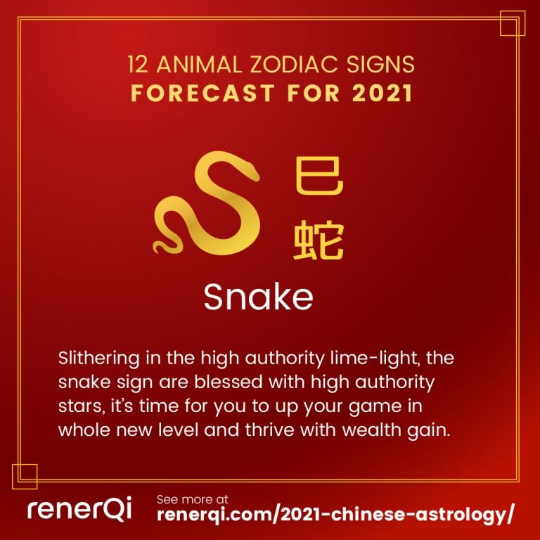 Great year for Snake Zodiac Sign Forecast in 2021 - RenerQi