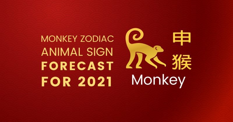 Monkey Zodiac Sign Forecast in 2021 - RenerQi