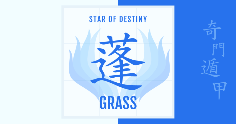 Qi Men Star of Destiny Grass - RenerQi