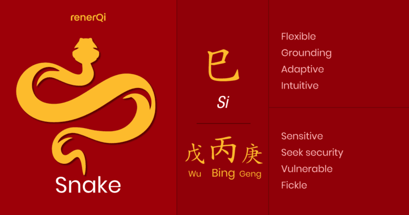 Detailed Guide to Chinese Snake Zodiac - RenerQi