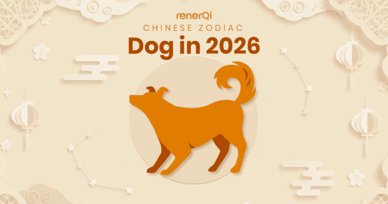 Dog zodiac in 2026 - The Creative Strategic Allies - RenerQi
